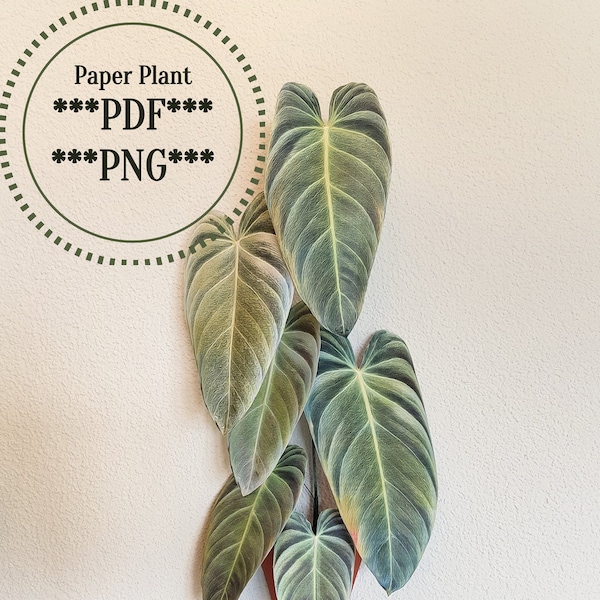 Philodendron Wall - Etsy