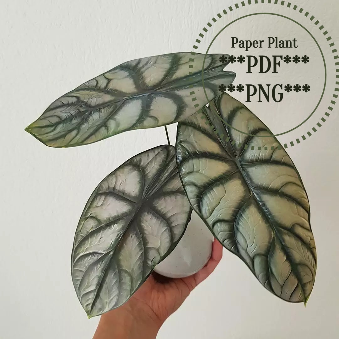 Fake Plant, Faux Rare Plant, Plant Wall Decor 3D, Paper Plant PDF ...