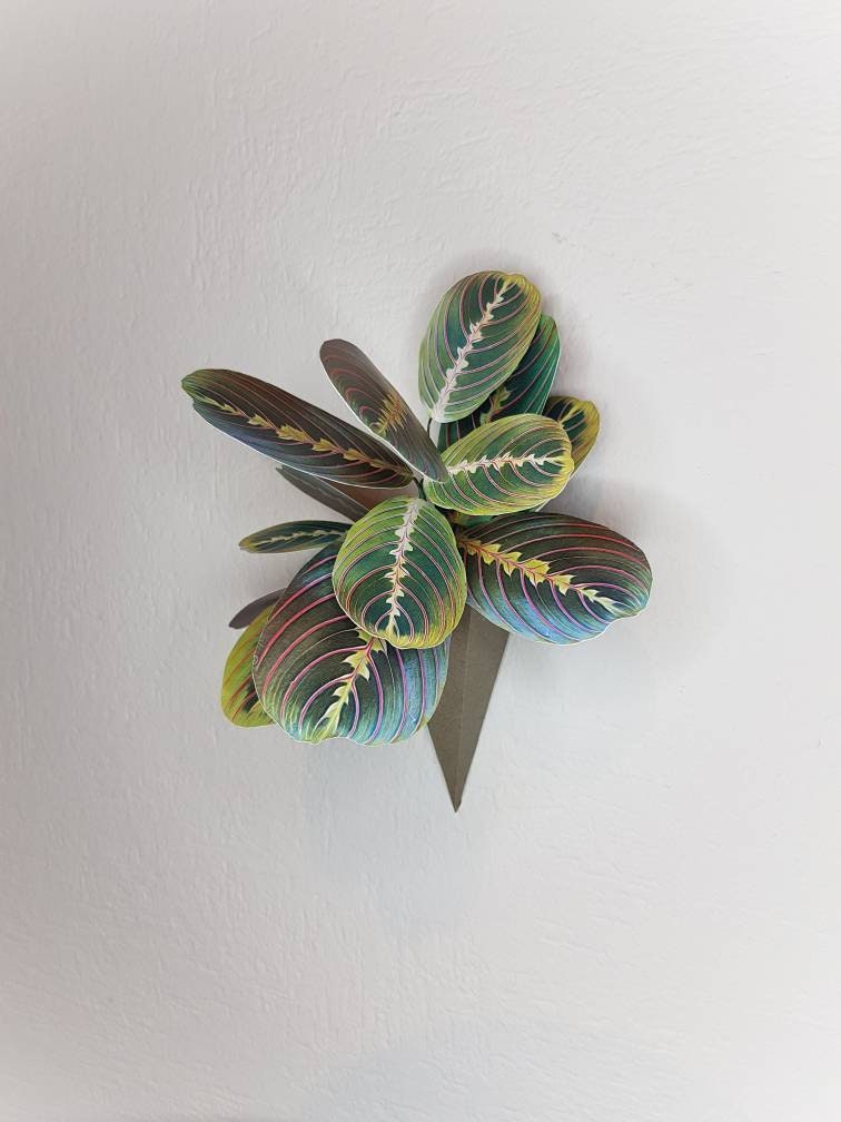 Fake Plant Funny Wall Art Maranta Plant Print Digital - Etsy