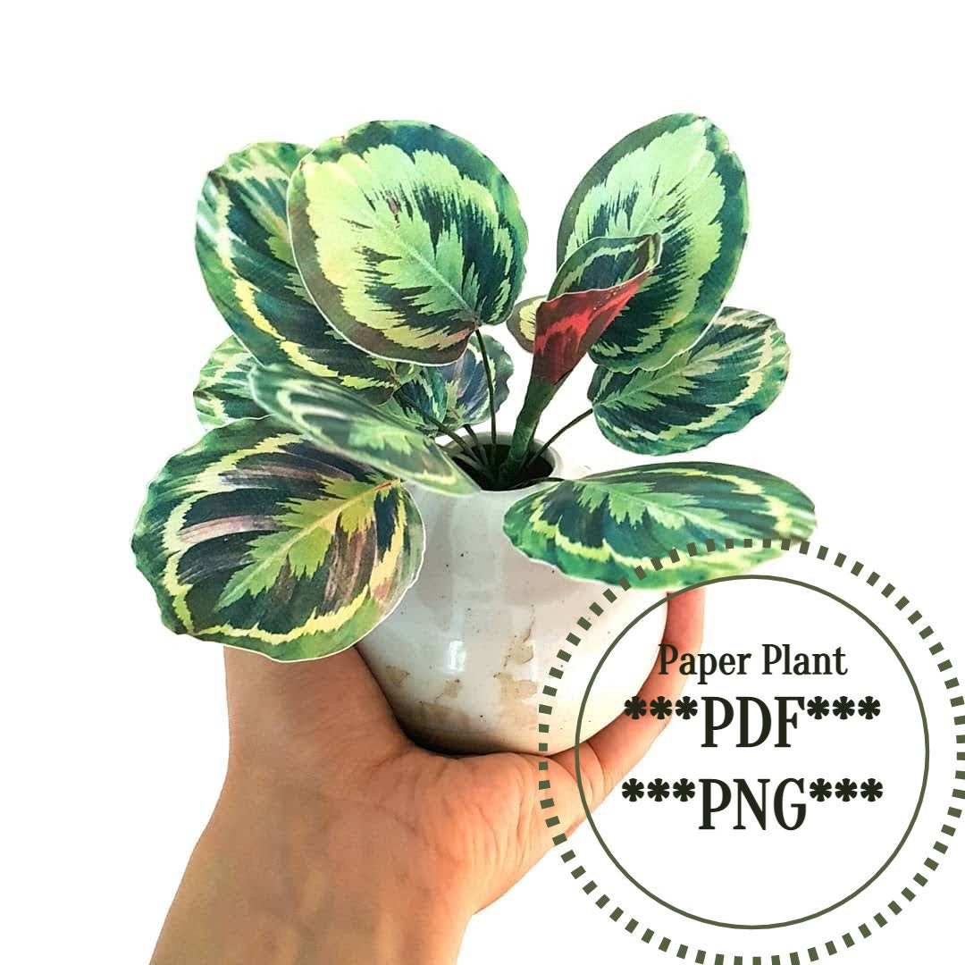 Faux Plant, Fake Plant, Leaf Design SVG, Paper Plant Template ...