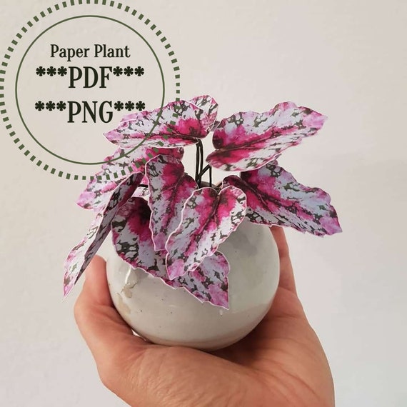 Fake Plant Faux Rare Plant Plant Wall Decor 3D Paper Plant - Etsy