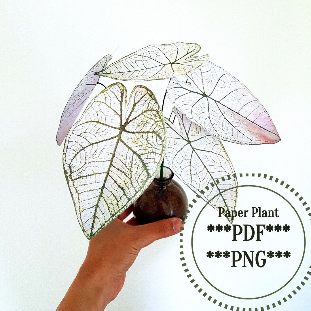 Fake Plant, Funny Wall Art, Plant Print Digital Download, Paper ...