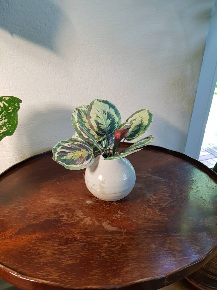 Faux Plant, Fake Plant, Leaf Design SVG, Paper Plant Template ...