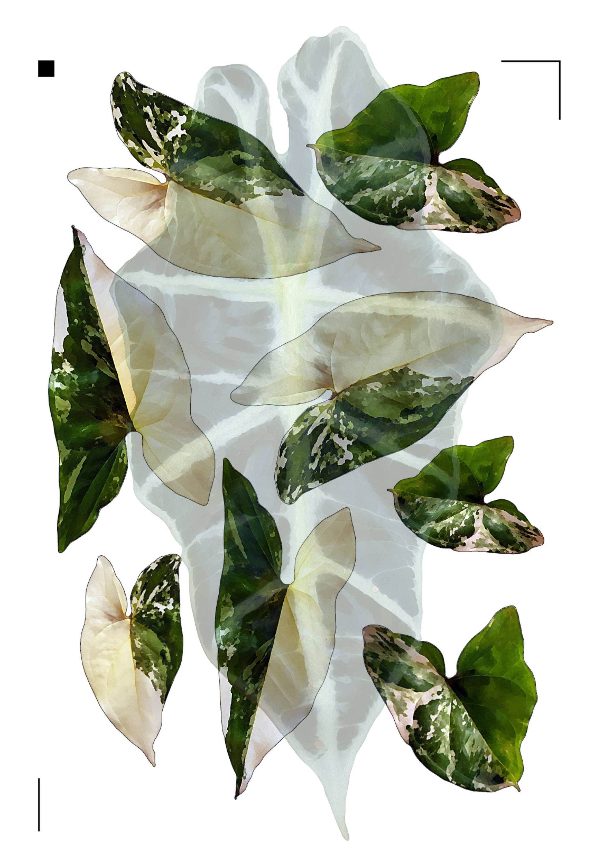 Fake Plant, Faux Plant, Paper Plant, Paper Plant Template, DIY Home ...