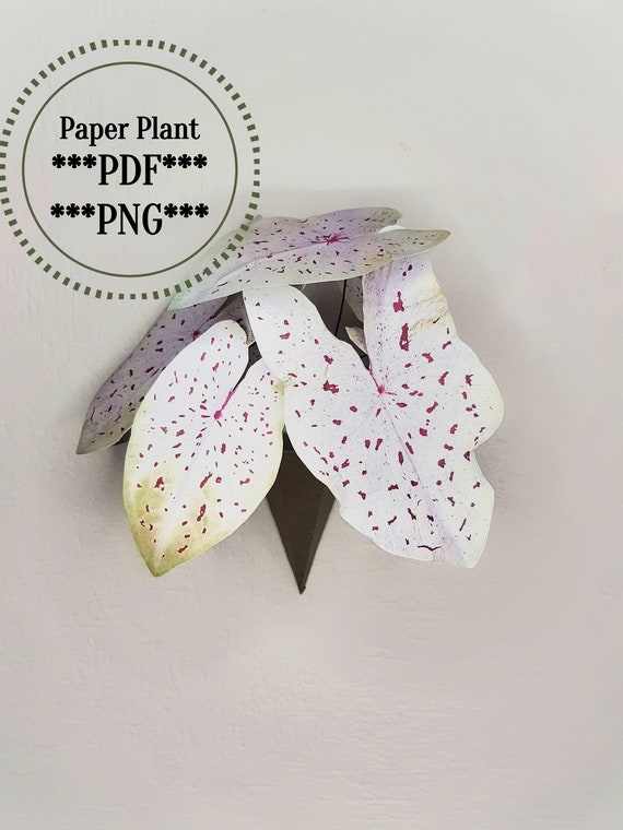 Plant Print Digital Fake Plant Printable Paper Plant Wall - Etsy