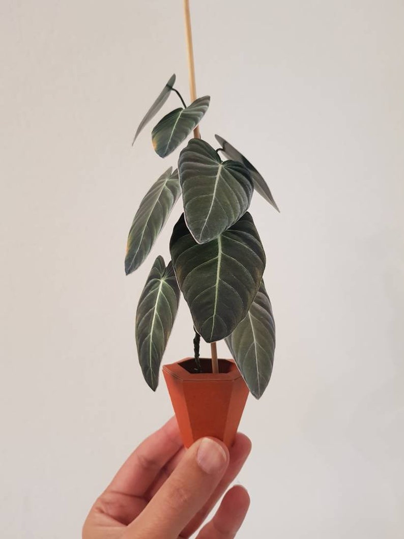 Paper Planter for Paper Plant SVG and PDF Template Paper Pot | Etsy