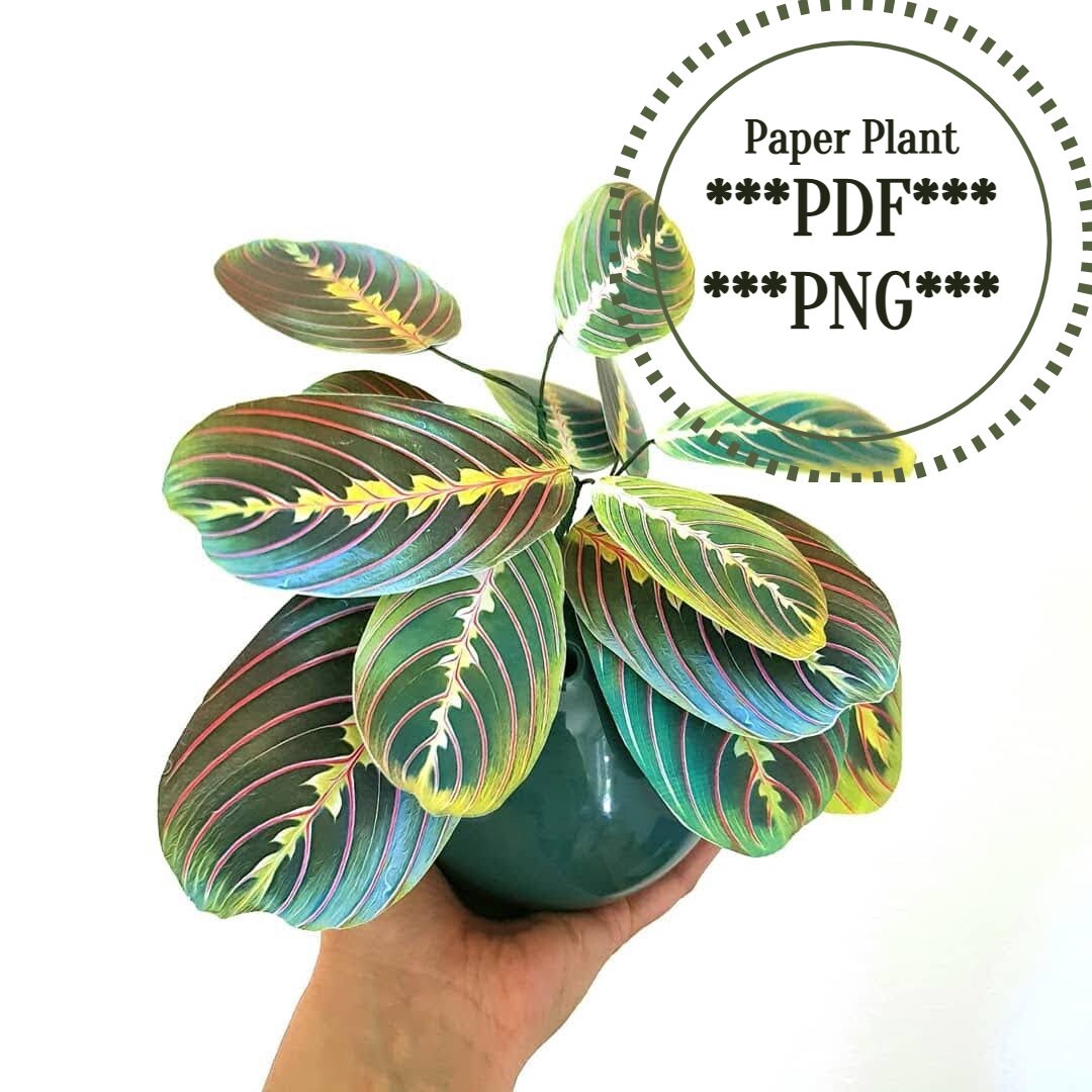 Fake Plant, Funny Wall Art, Maranta Plant Print, Digital Download Plant ...
