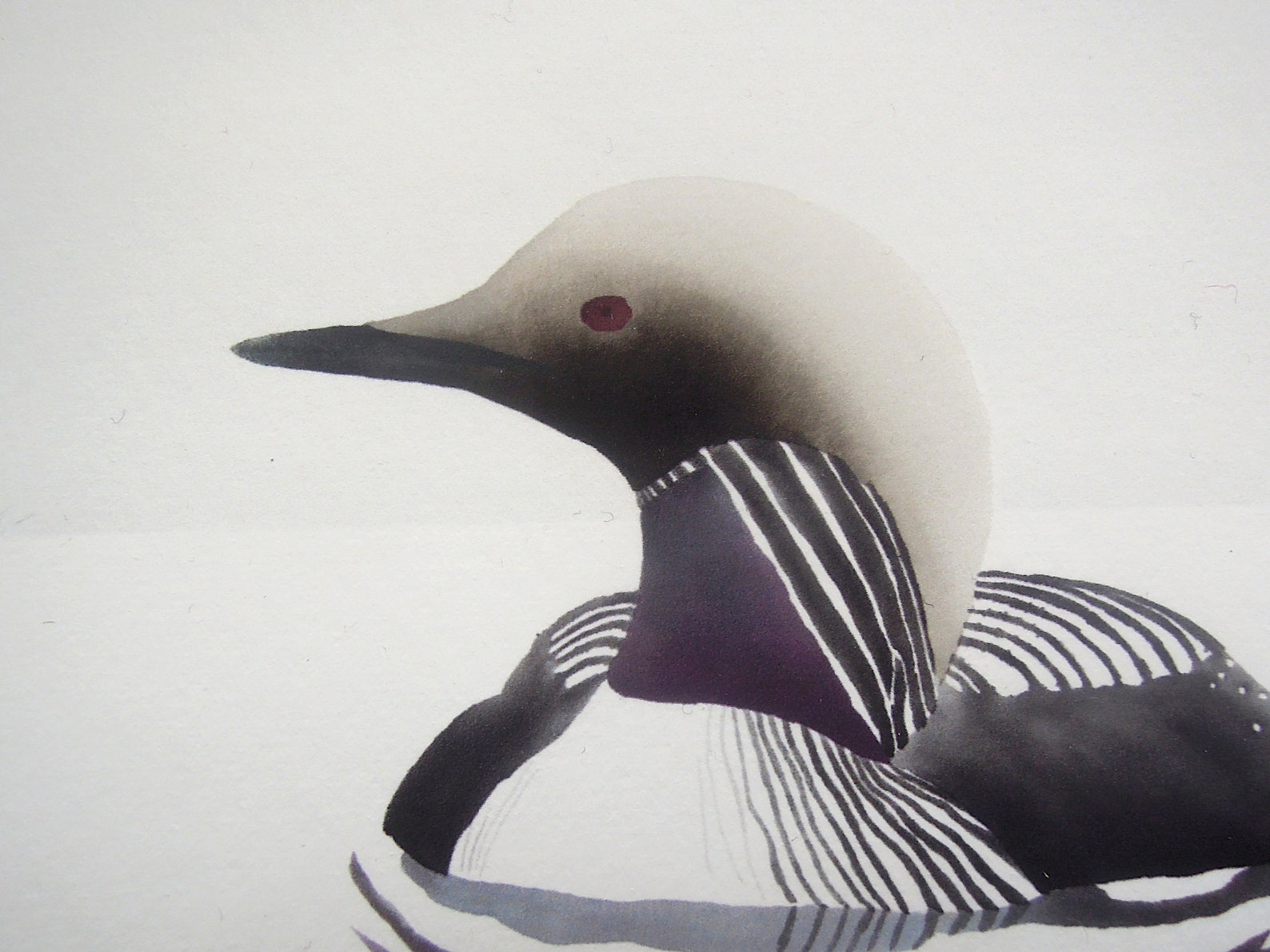 Loons Set of 5 A4 Giclee Fine Art Print Birds Print Bird - Etsy