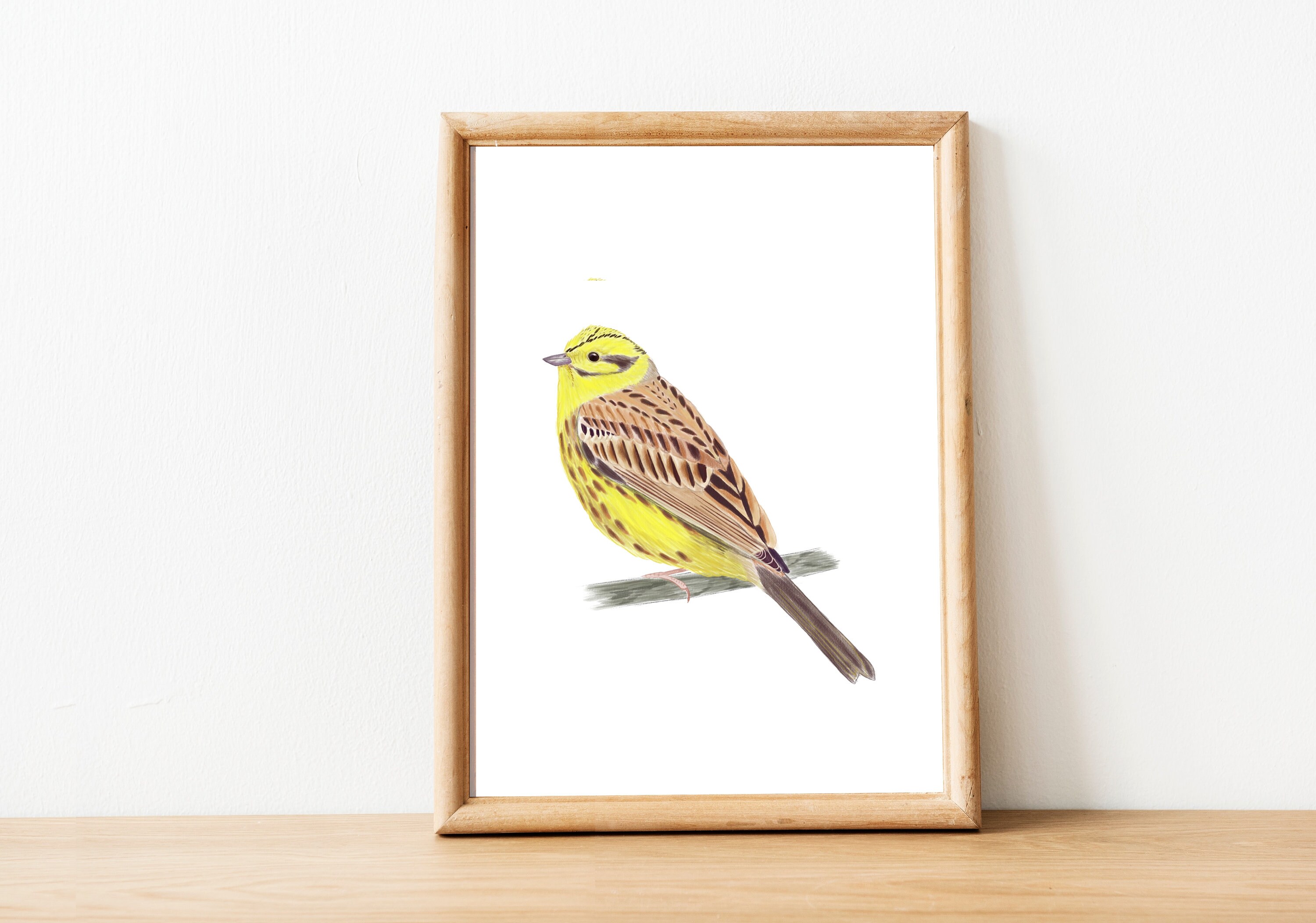 Yellowhammer, Bird Watercolor, Room Wall Decor, Printable Fine Art ...