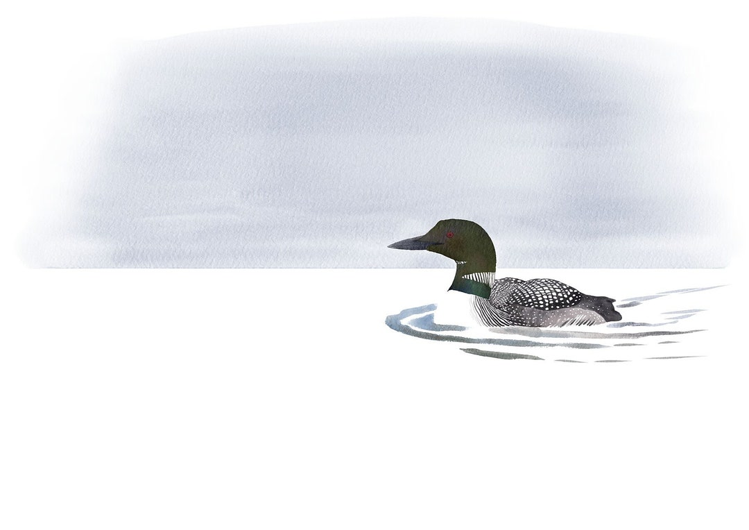Common Loon, Giclee Fine Art Print, Birds Print, Bird Illustration ...