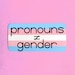 Pronouns Do Not Equal Gender Sticker | Customizable LGBTQ Transgender ...