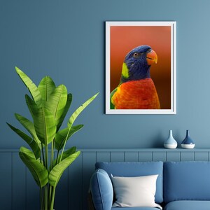 Parrot Printable Wall Art | Bird Photography for Home Decor | Nature ...