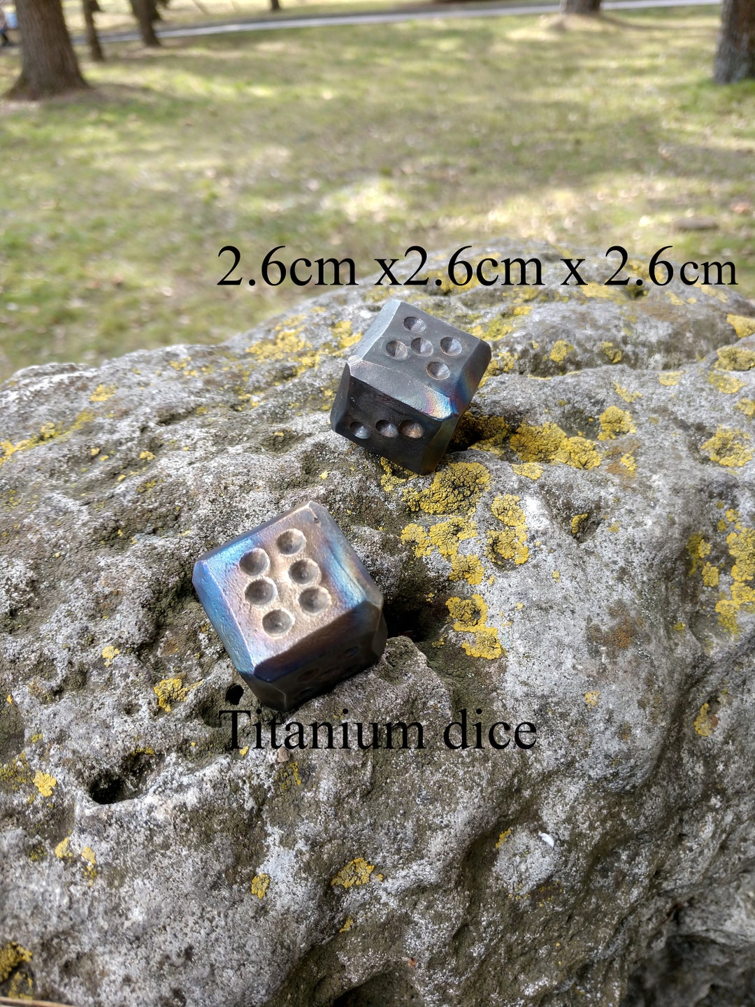Set of 2 Titanium Dices, Titanium Dices, Titanium D6, Dice Games, Dnd ...