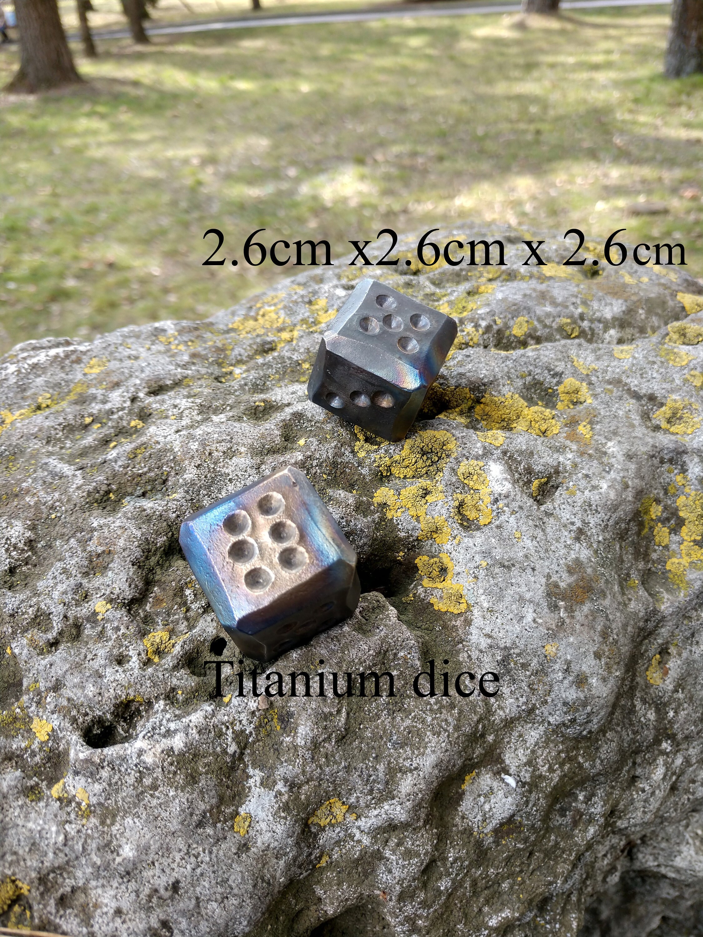 Set of 2 Titanium Dices Titanium Dices Titanium D6 Dice - Etsy