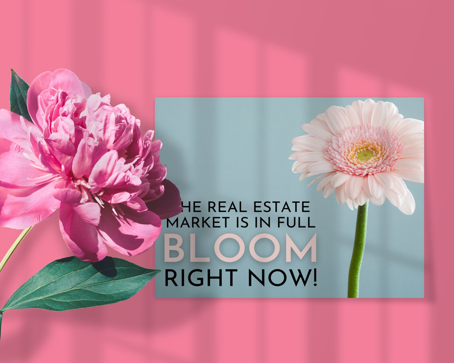 Real Estate Hello Spring Postcard, Realtor Marketing Template (instant ...