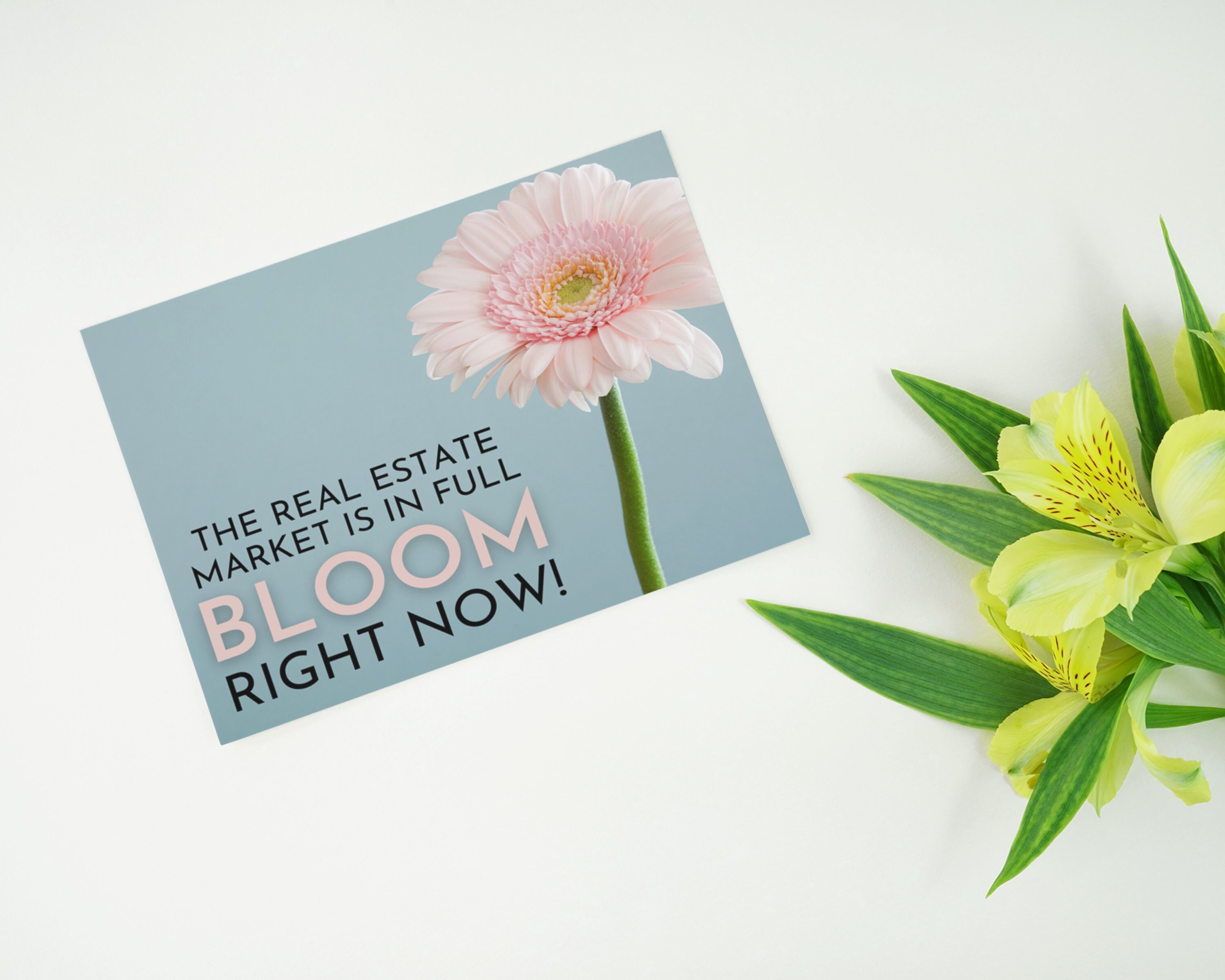 Real Estate Hello Spring Postcard, Realtor Marketing Template (instant ...
