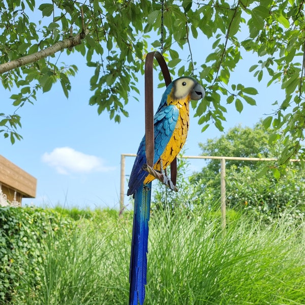 Parrot Outdoor Decor - Etsy