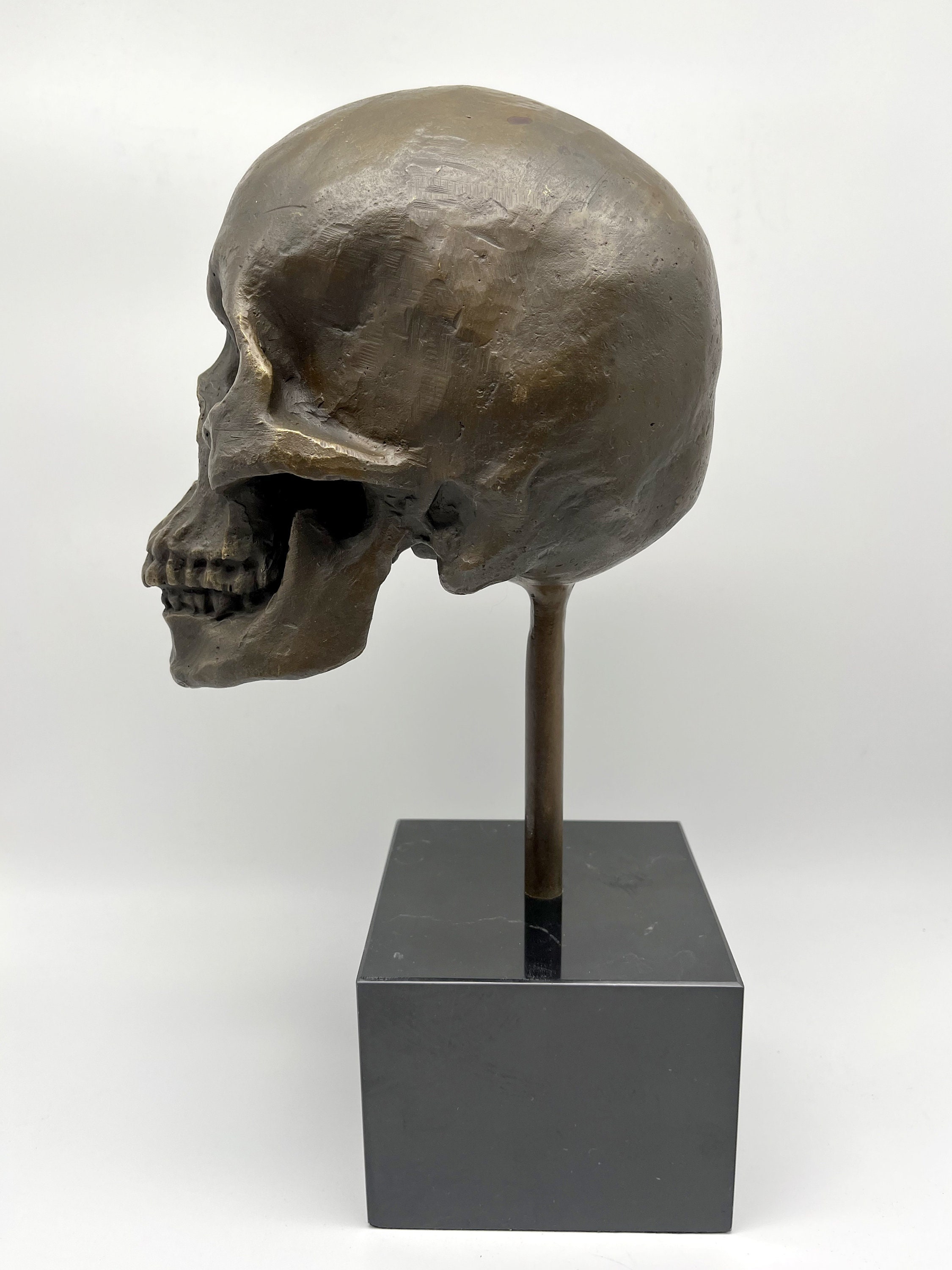 Bronze Skull Life Size Skull in Bronze Bronze Artwork - Etsy