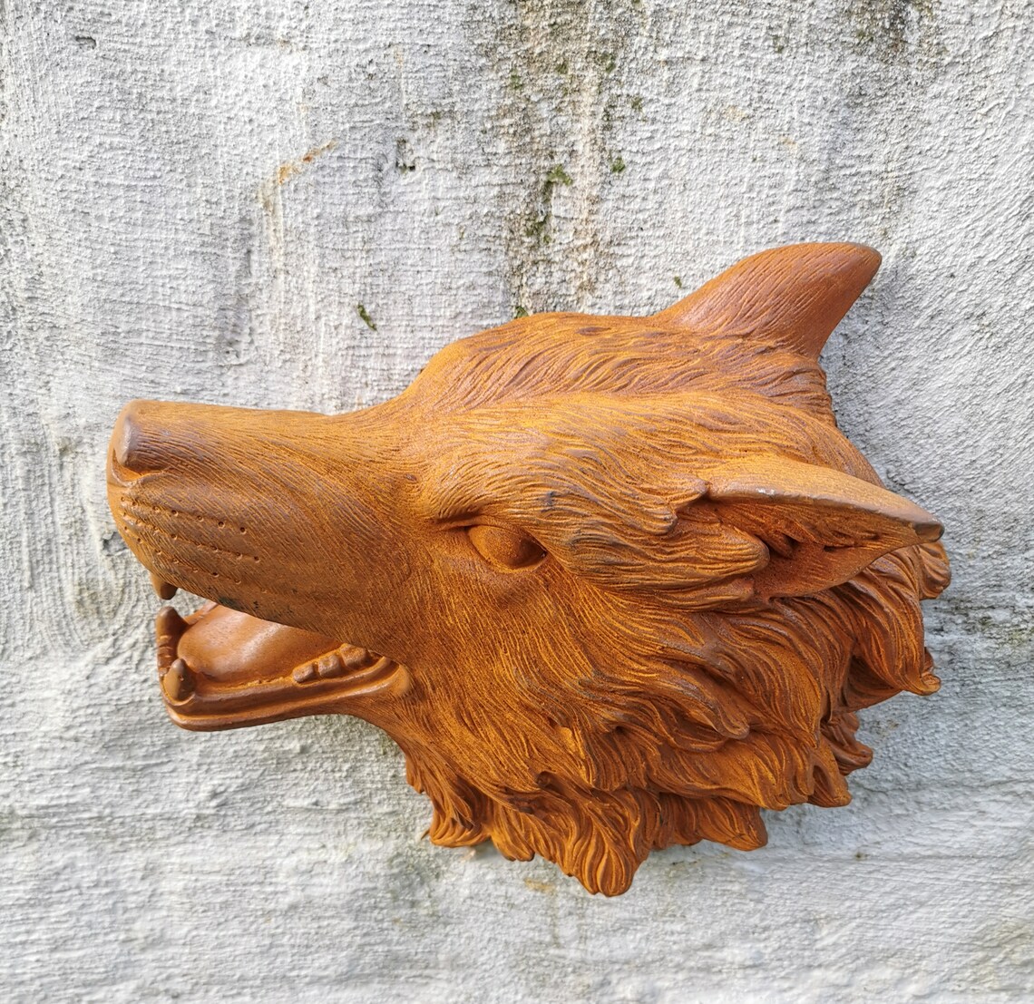 Wall Mount Wolf Head Wolf Head Cast Iron Wolf | Etsy