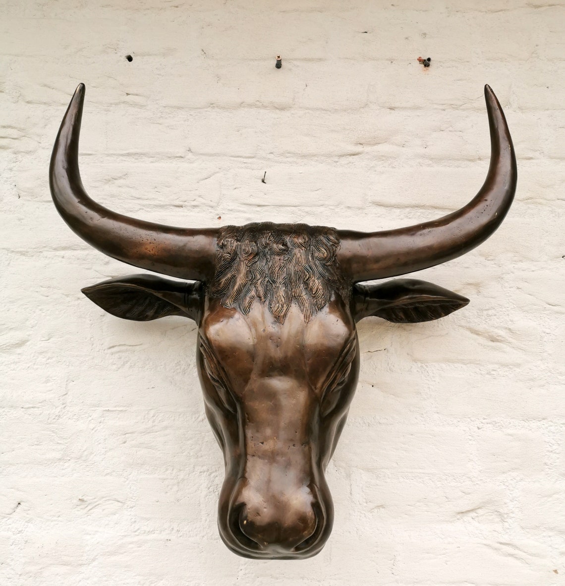 XL Bull Head Wall Sculpture Bronze Animal Head - Etsy Canada