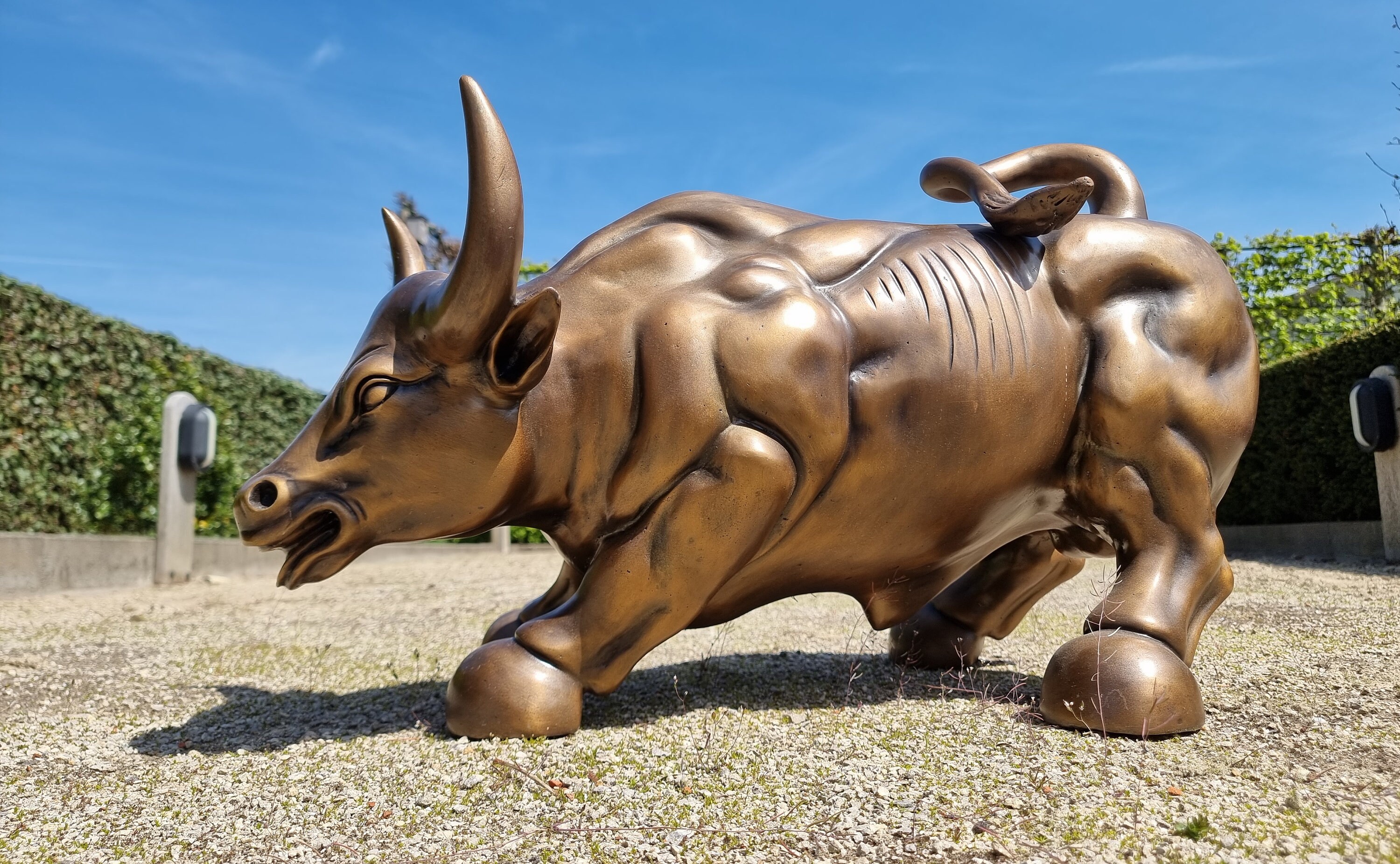 Wall Street Bull Statue Replica