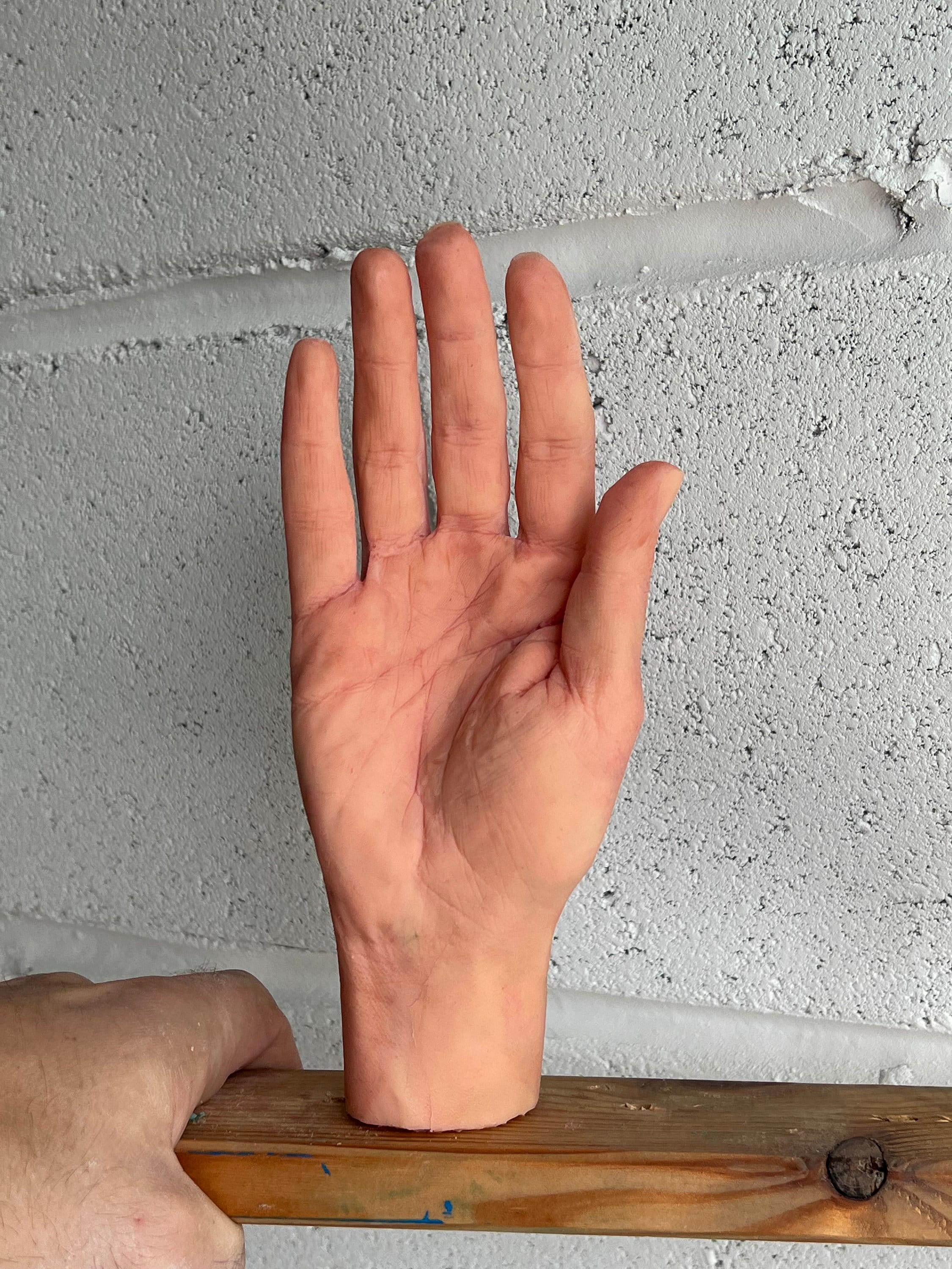 Realistic Silicone Female Right Hand - Etsy UK