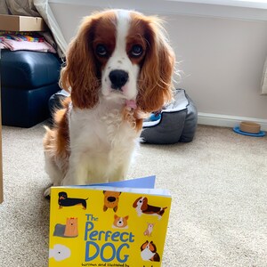 The Perfect Dog - Children's Book, Boys, Girls, Dogs, Pets, Gifts ...
