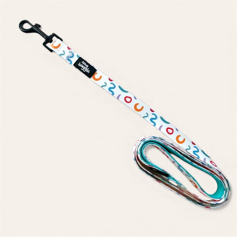 Rainbow ‘wags and Wiggles’ Colourful Dog Leash: Padded Handle, Funky ...