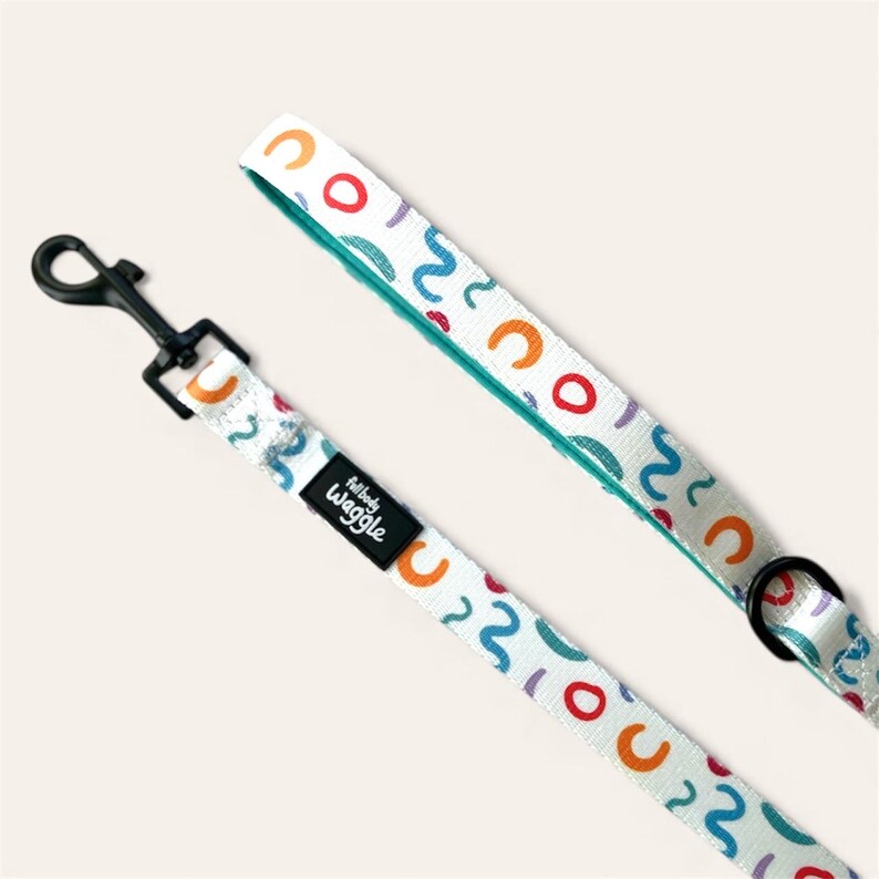 Rainbow ‘wags and Wiggles’ Colourful Dog Leash: Padded Handle, Funky ...