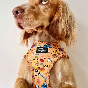 Dogs at Work Adjustable Dog Harness and Leash Set Diggers, Builders ...