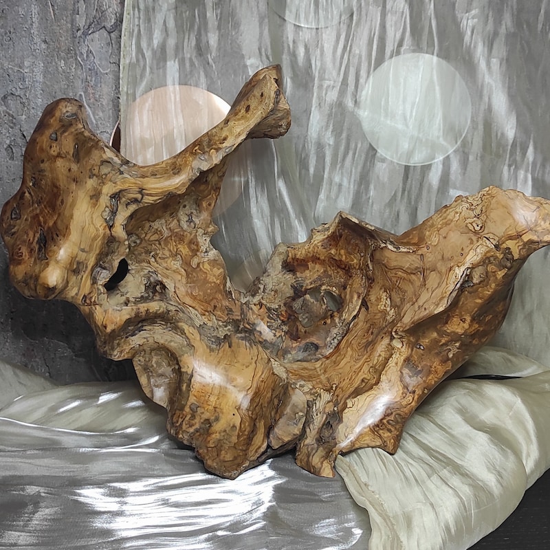 Tree Root Dining Table - Etsy