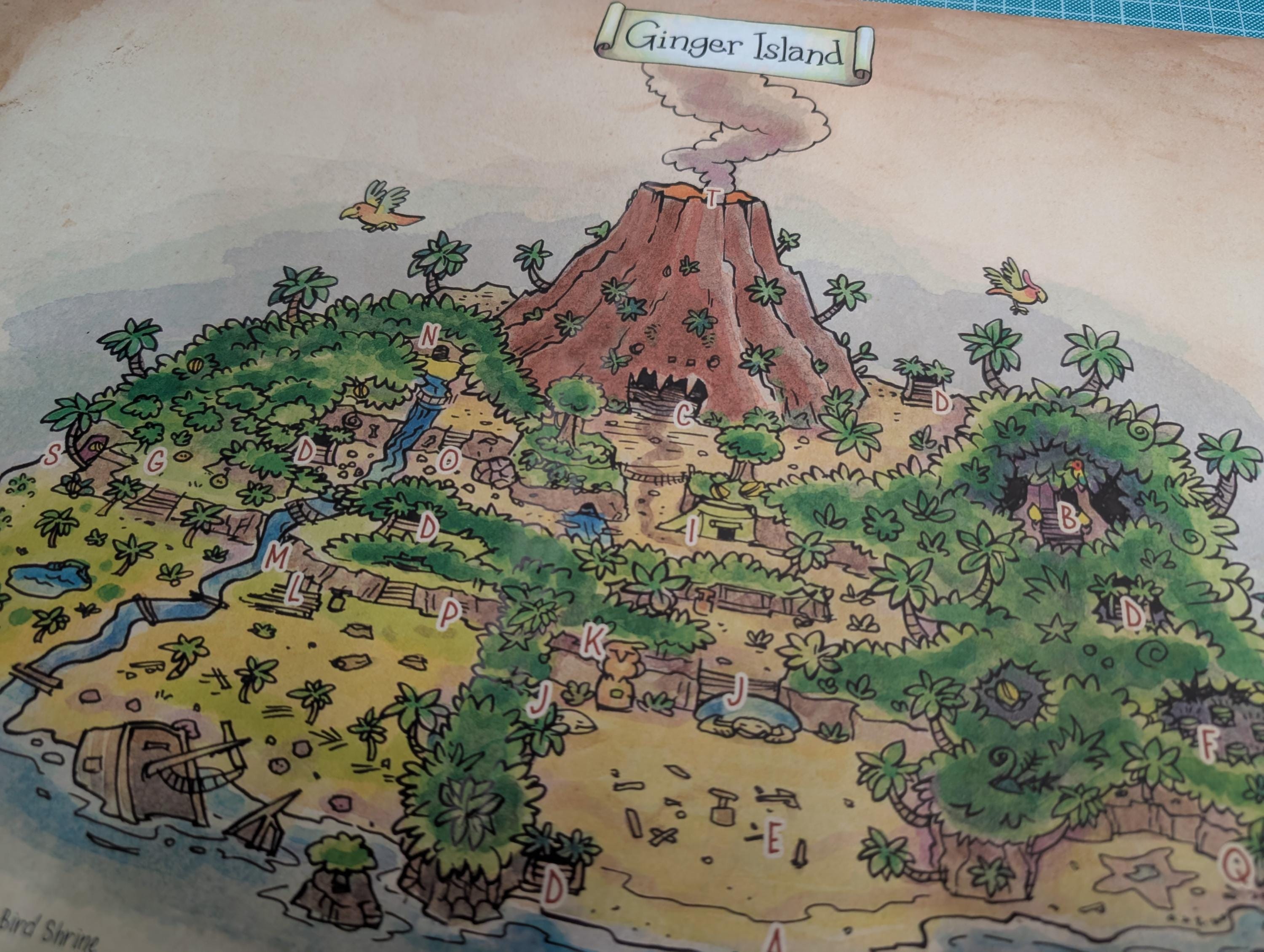 Stardew Valley Ginger Island Map, High Quality, A1/A2 Prints - Etsy