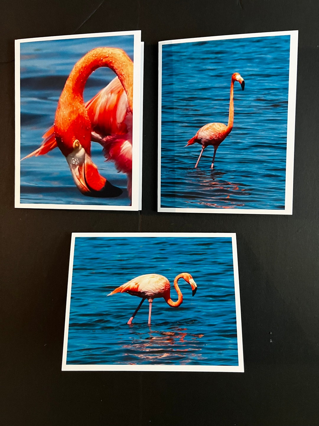 Flamingo Note Cards With Envelopes - Etsy