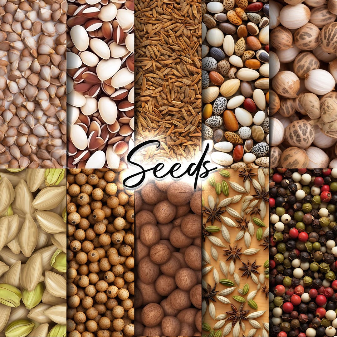 146 Seeds Seamless Pattern Digital Seamless Pattern Chia Seeds 3d ...