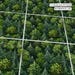 117 Forest Seamless Pattern | Digital Seamless Pattern Treetops | 3d ...