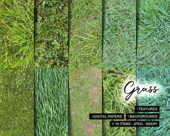 10 Grass Textures Grass Patterns Fantastic Grass Patterns - Etsy