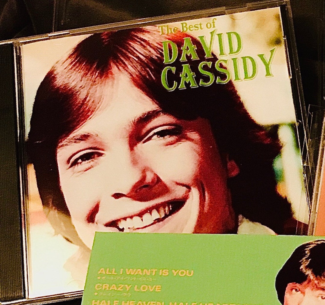 David Cassidy 'best Of' CD, Rare 1991 Promo, Curb Records - Etsy
