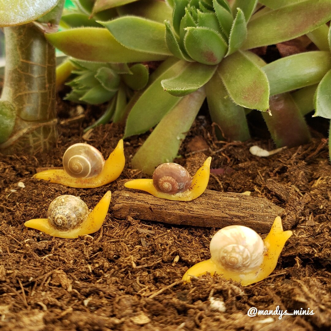 Miniature Snails 4/8/or 12 Pcs, Fairy Garden, Miniatures, Polymer Clay ...