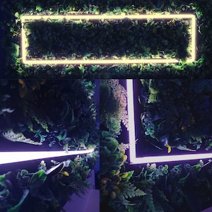 Elegant LED Green Plant Wall Framed Foliage With Color Changing LED ...