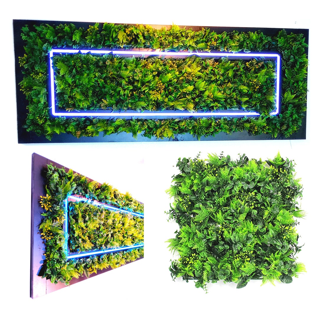 Elegant LED Green Plant Wall Framed Foliage With Color Changing LED ...