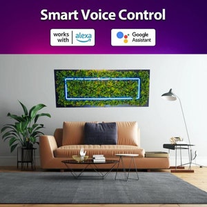 Elegant LED Green Plant Wall Framed Foliage With Color Changing LED ...