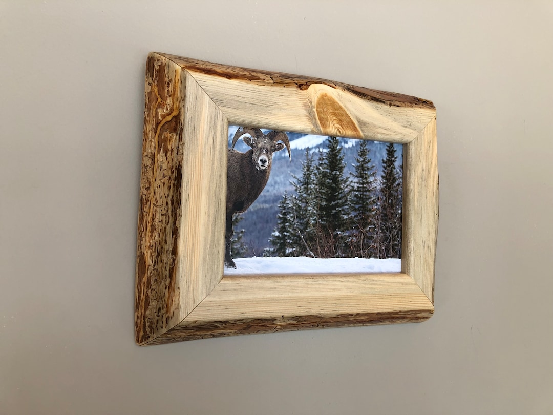 Live Edge Wood Picture Frame ,rustic Frame, Home Decor 5x7 - Etsy