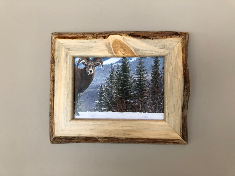 Live Edge Wood Picture Frame ,rustic Frame, Home Decor 5x7 - Etsy