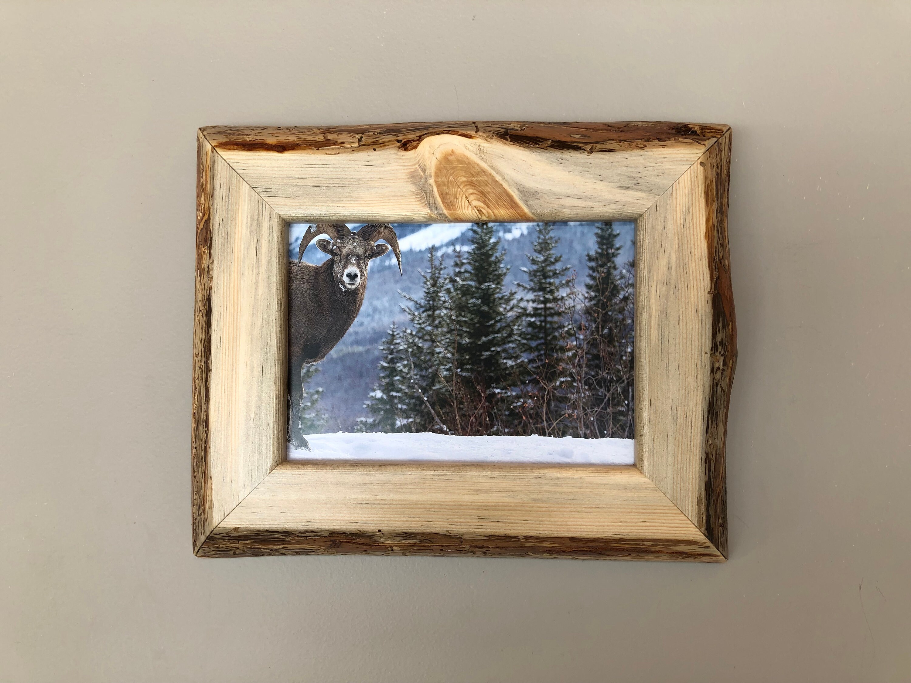 Live Edge Wood Picture Frame ,rustic Frame, Home Decor 5x7 - Etsy