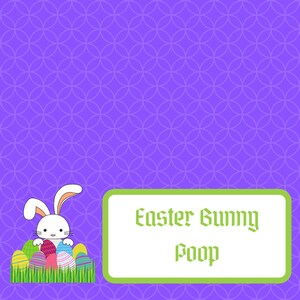 Easter Bunny Poop Bunny Poop Jelly Bean Poop Chocolate - Etsy
