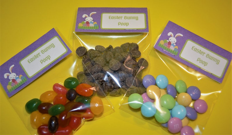 Easter Bunny Poop Bunny Poop Jelly Bean Poop Chocolate | Etsy