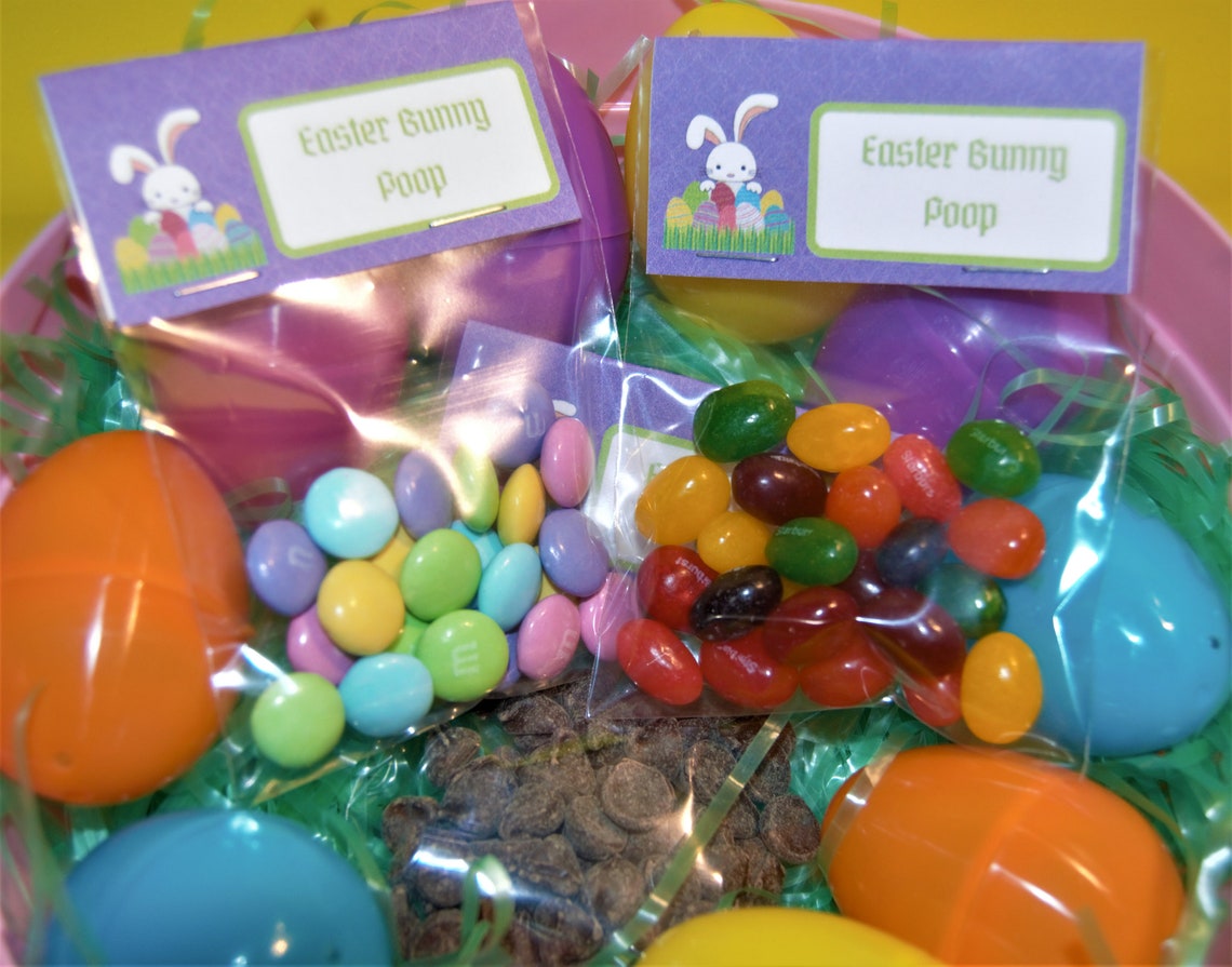 Easter Bunny Poop Bunny Poop Jelly Bean Poop Chocolate | Etsy