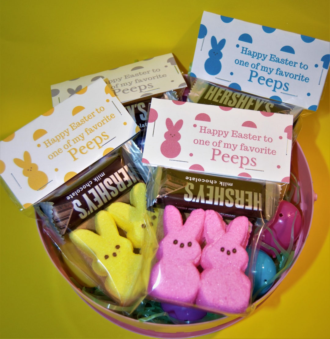 Easter Peep Bunny S'more Treats, S'more Easter Kit, Treats for My Peeps ...