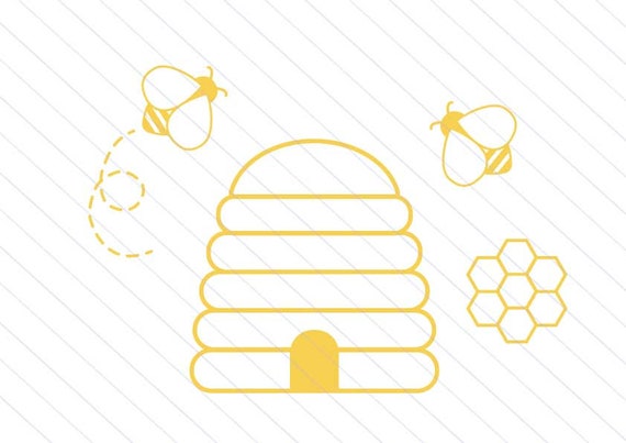 Honey Bee Nest Vector