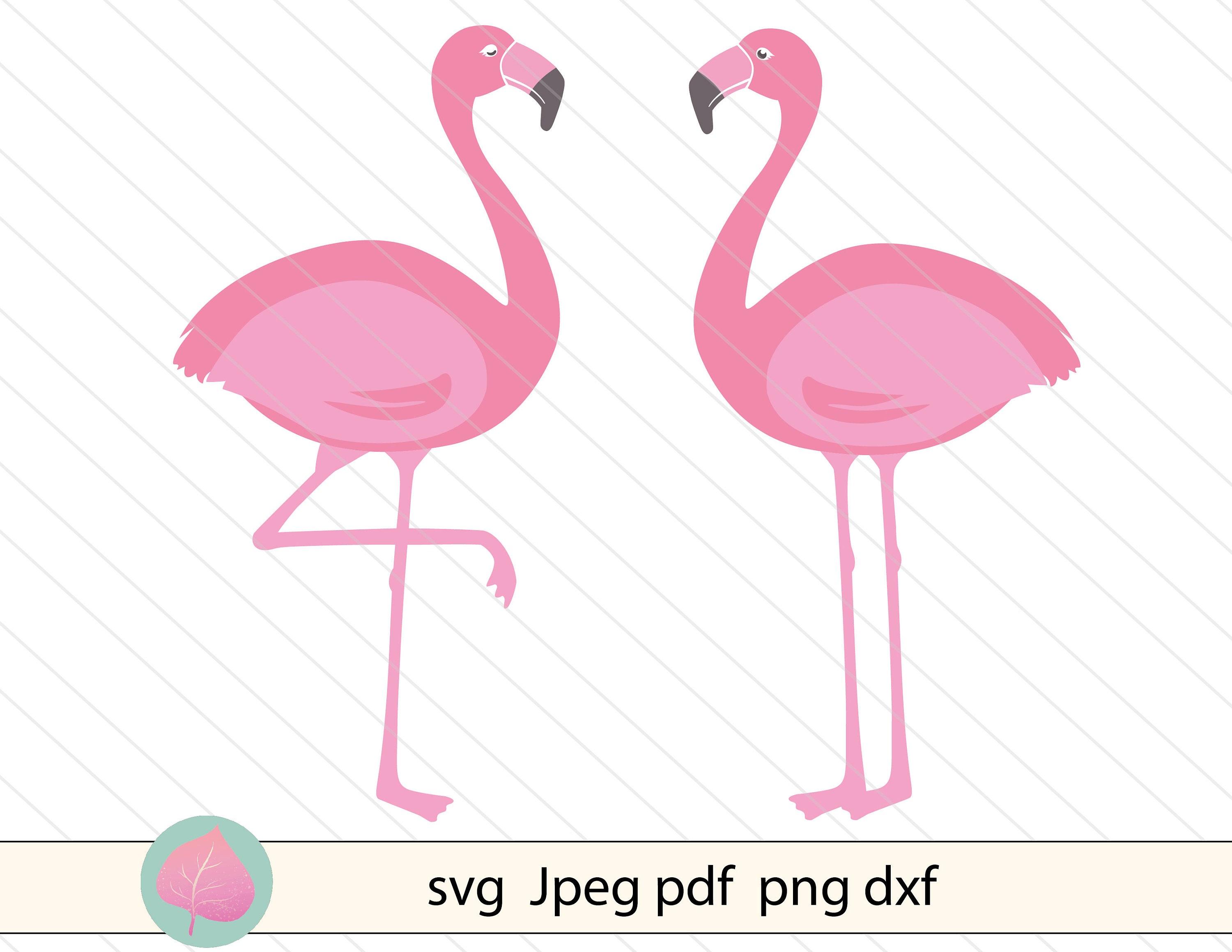 Silhouette Cricut Scrapbook Cut File Clipart Flamingo Svg Decal Vector ...